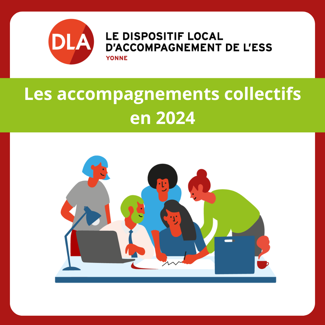 Les accompagnements collectifs du DLA 89 en 2024 - FDFR 89